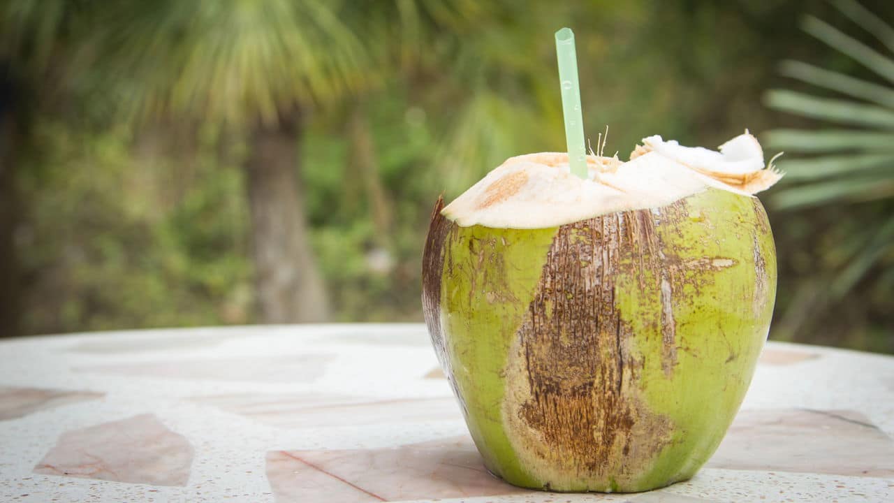 Água de Coco é o isotônico natural que reidrata e repõe os sais ...