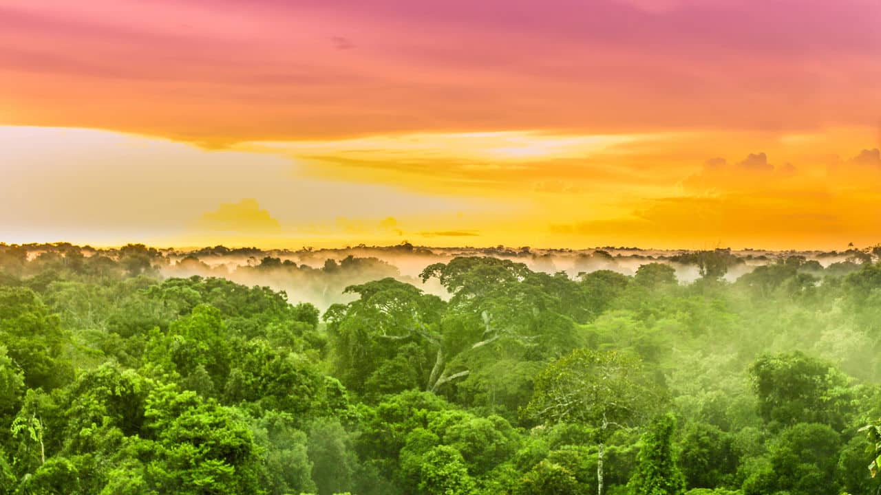Você conhece as 7 maravilhas naturais do mundo? Descubra as belezas ...