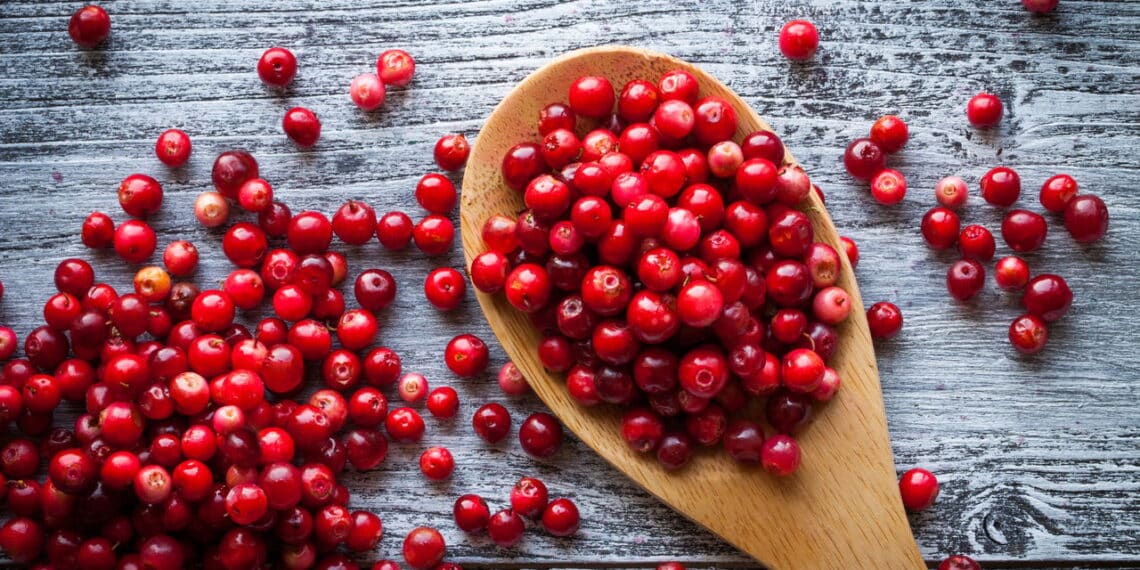 Cranberry reduz risco de infecção urinária? Estudo comprova os ...