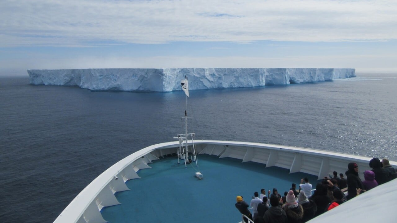 Maior iceberg do mundo encalha na Geórgia do Sul; entenda os impactos ...