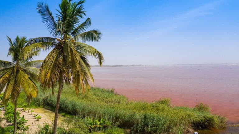O mistério do Pink Lake e seu colorido fascinante na Austrália - Terra ...
