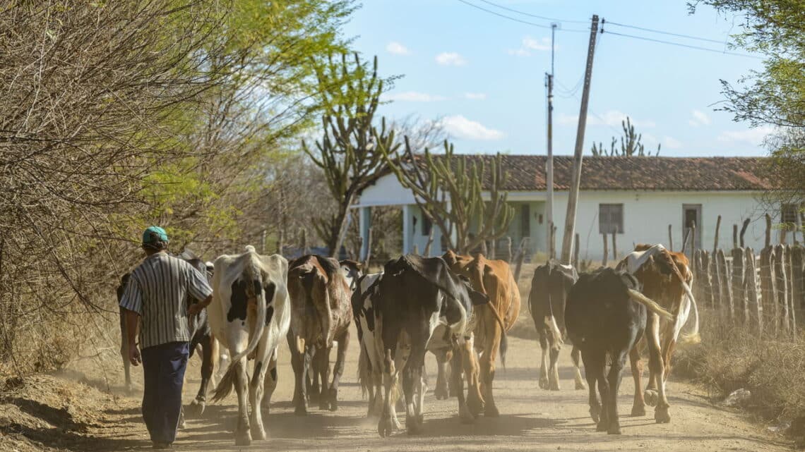 Explore o Cariri e se surpreenda com a cultura! - Terra Brasil Notícias