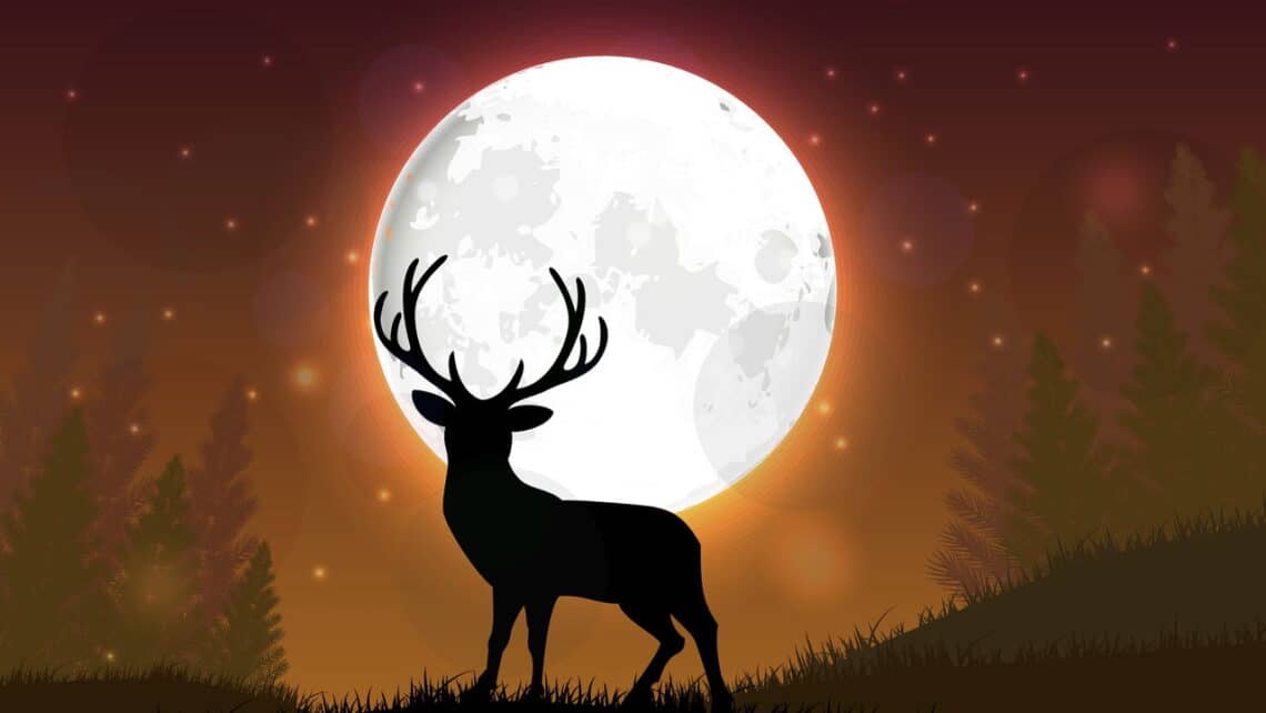"Lua do veado" brilha nesta quinta: entenda o fenômeno que vai iluminar o céu - Terra Brasil ...