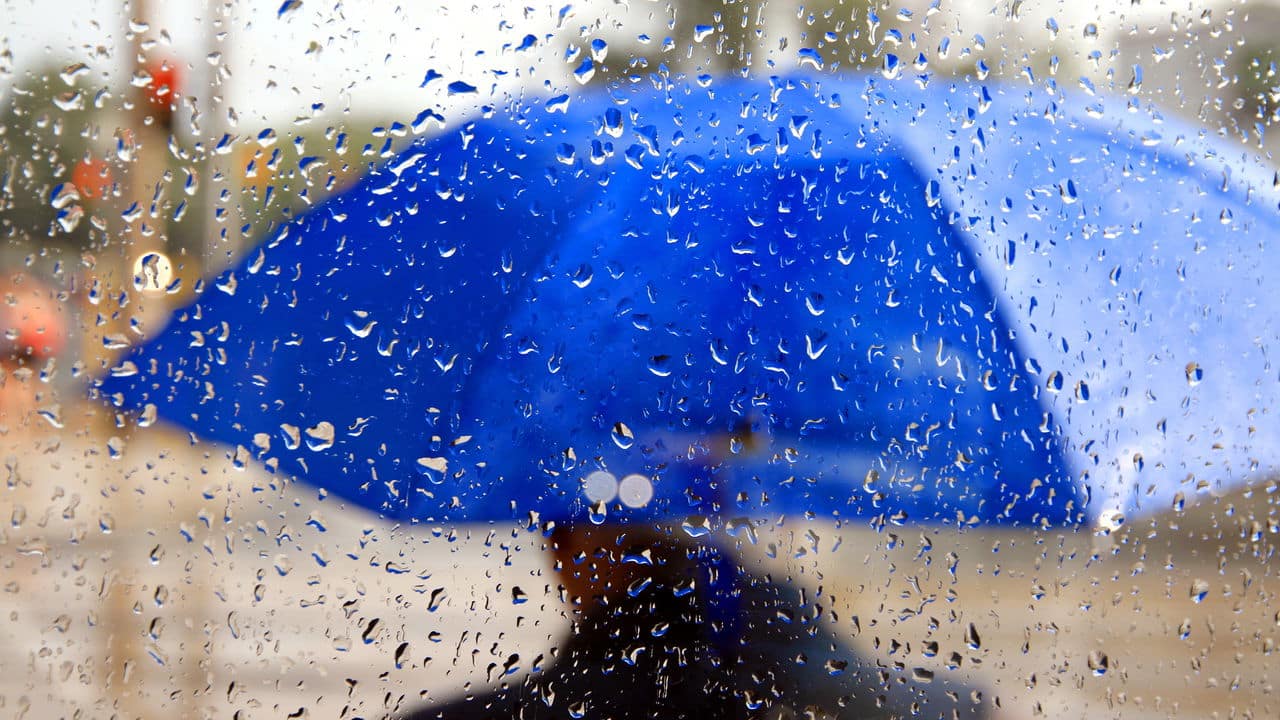 Quando viajar para o Nordeste? Veja o clima mês a mês e dicas para cada ...