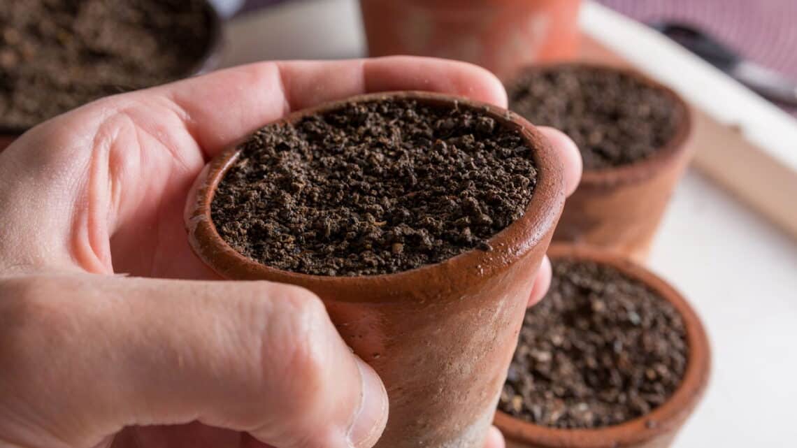 O segredo para escolher uma terra fértil e nutritiva para plantar em ...